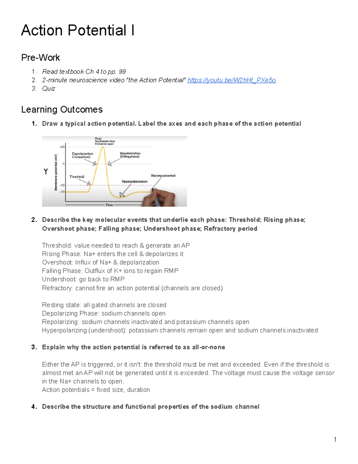 SW Action Potential I - Action Potential I Pre-Work Read textbook Ch 4 ...