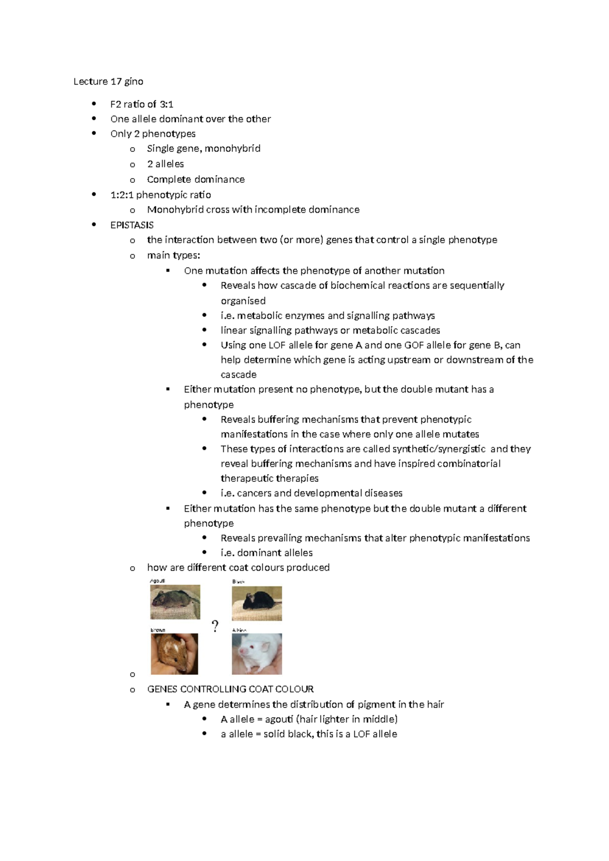 BIOL10521 Lecture 17 Notes - Lecture 17 gino F2 ratio of 3: One allele ...