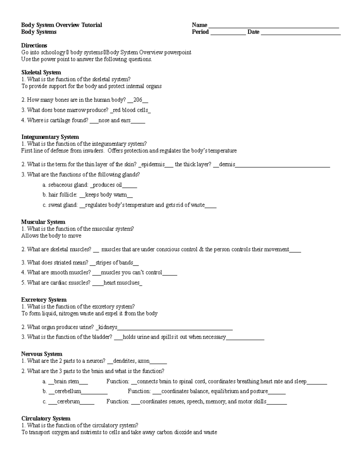 1-Body System Overview tutorial ws - Body System Overview Tutorial Name ...