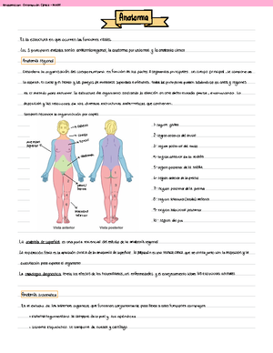 Practica 11 djjdd - resumenes del video our Extraordinary Life ...