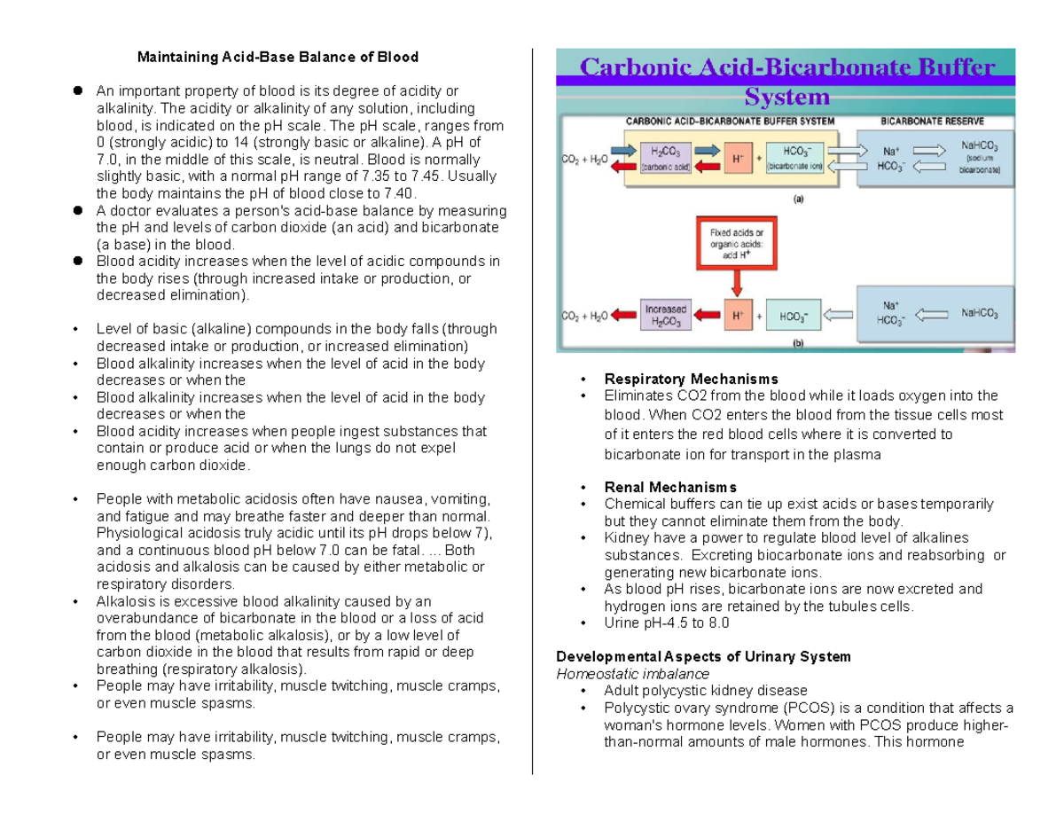 Maintaining Acid-Base Balance of Blood - The acidity or alkalinity of ...
