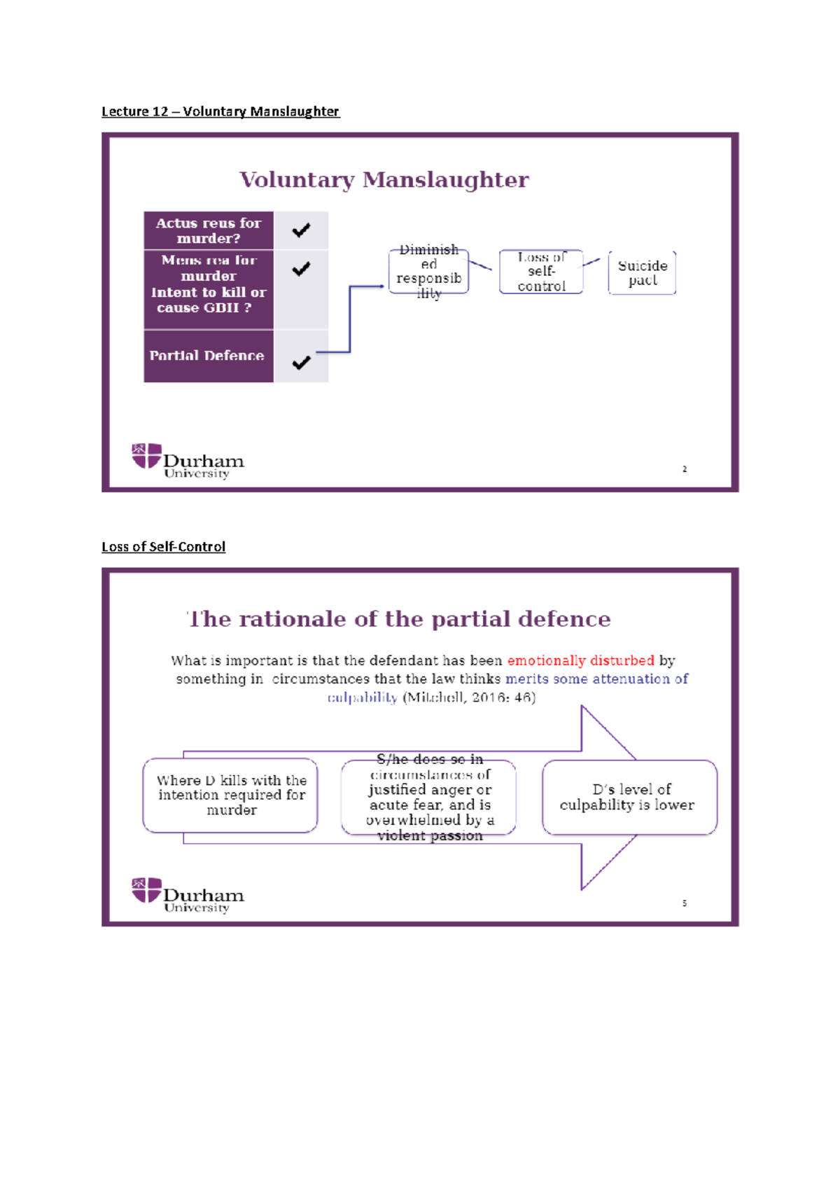 Lecture 12 – Voluntary Manslaughter - Lecture 12 – Voluntary ...