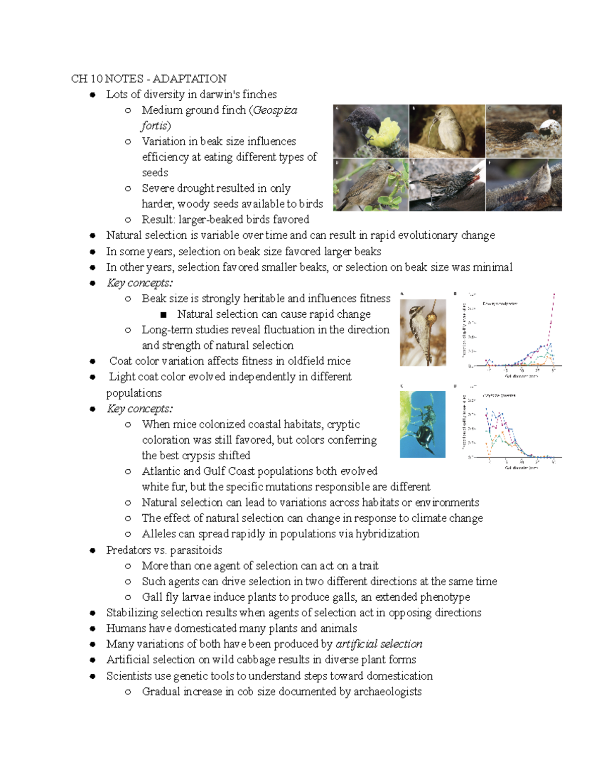 Chapter 10 Notes - Adaptation - CH 10 NOTES - ADAPTATION Lots of ...