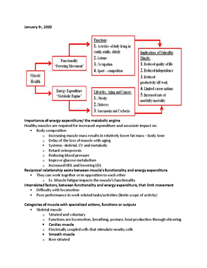 MSK structure function (part A) - Lecture 36 MSK structure & function (part A) Categories or ...