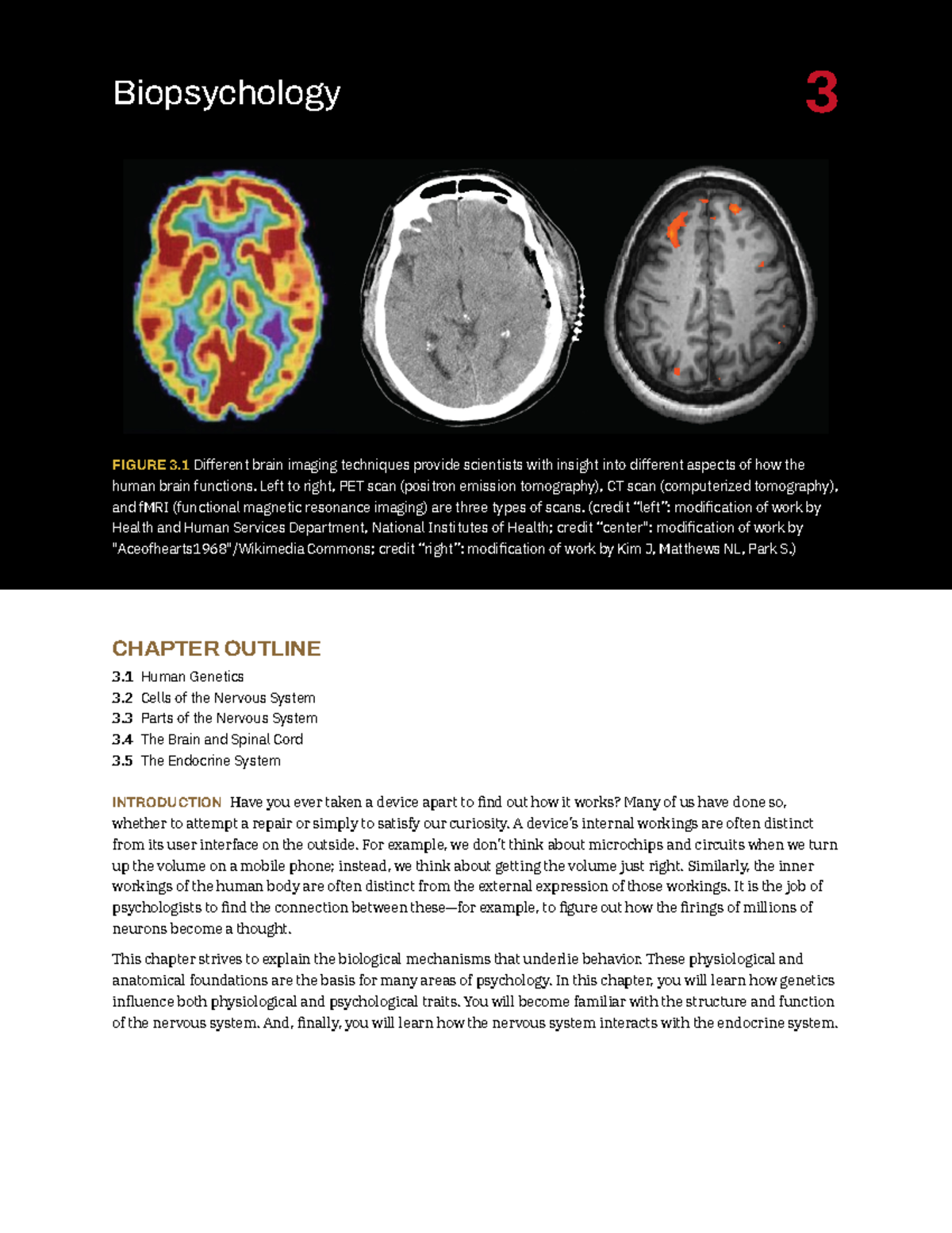 Psychology 2e - Ch 3 - FIGURE 3 Different brain imaging techniques ...
