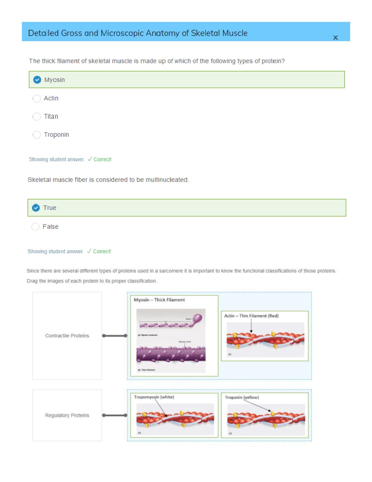 Detailed Gross and Microscopic Anatomy - BIOS-252 - Studocu