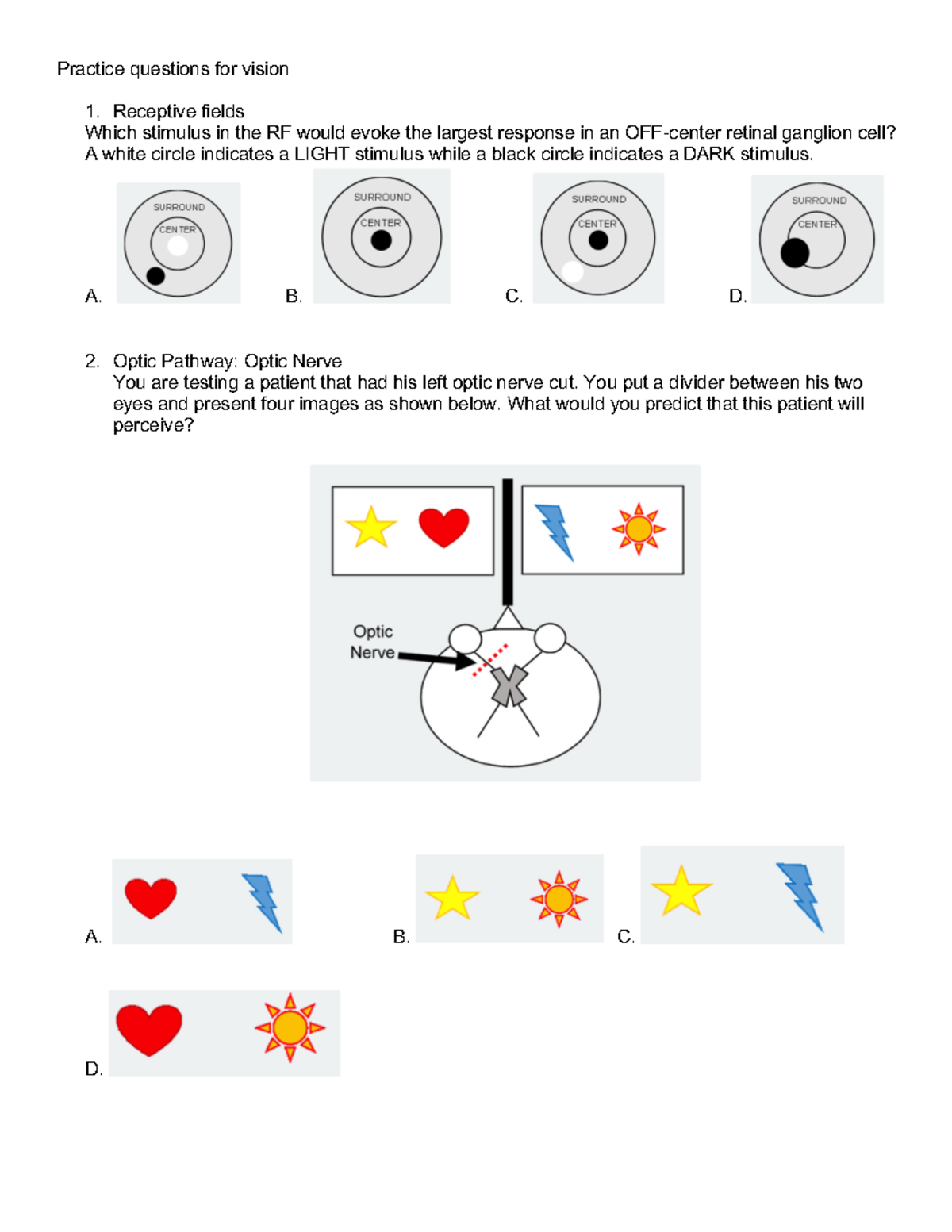 Practice questions vision - Practice questions for vision 1. Receptive ...