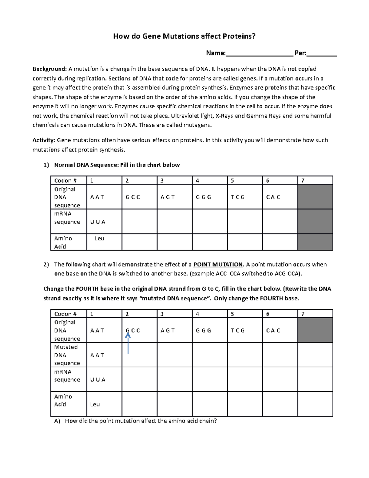 24 mutations - dna and protein synthesis - How do Gene Mutations affect ...