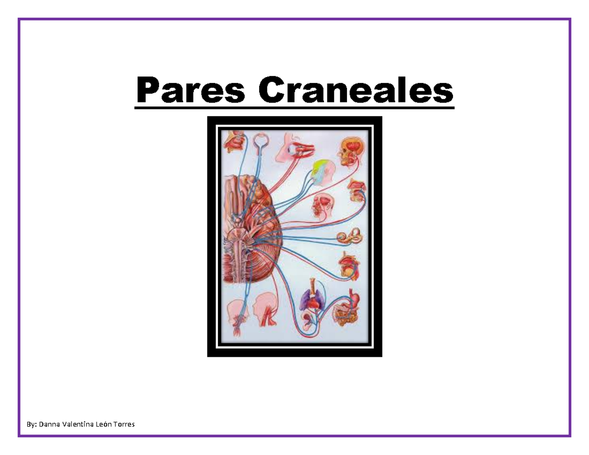 Pares Craneales - Warning: TT: undefined function: 32 Pares Craneales By: Danna Valentina León ...
