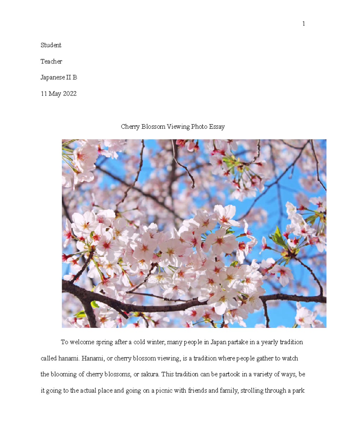 Spare Time Project 3B assessment - Student Teacher Japanese II B 11 May ...