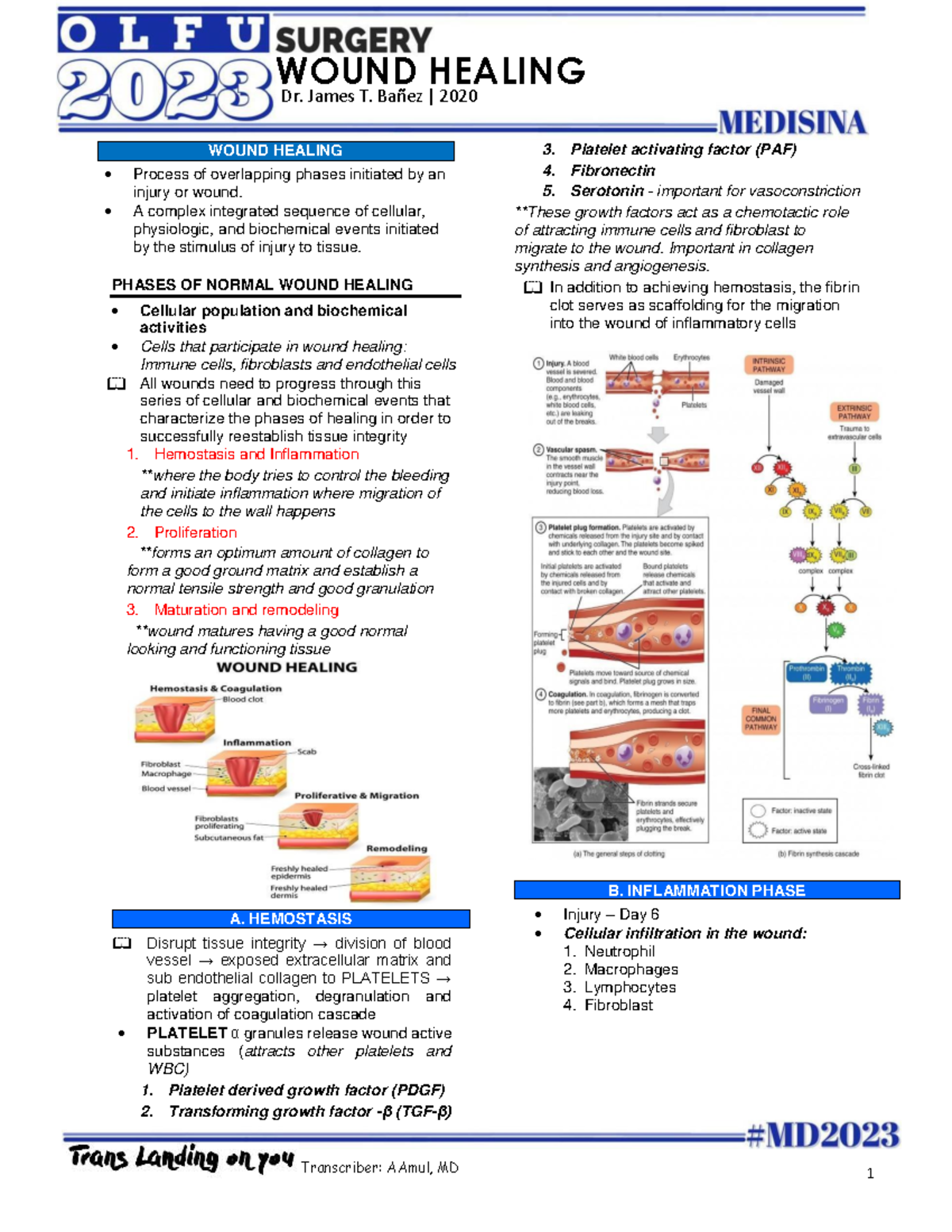 Surgery I Wound Healing Doc Bañez TLOY - Dr. James T. Bañez | 2020 ...