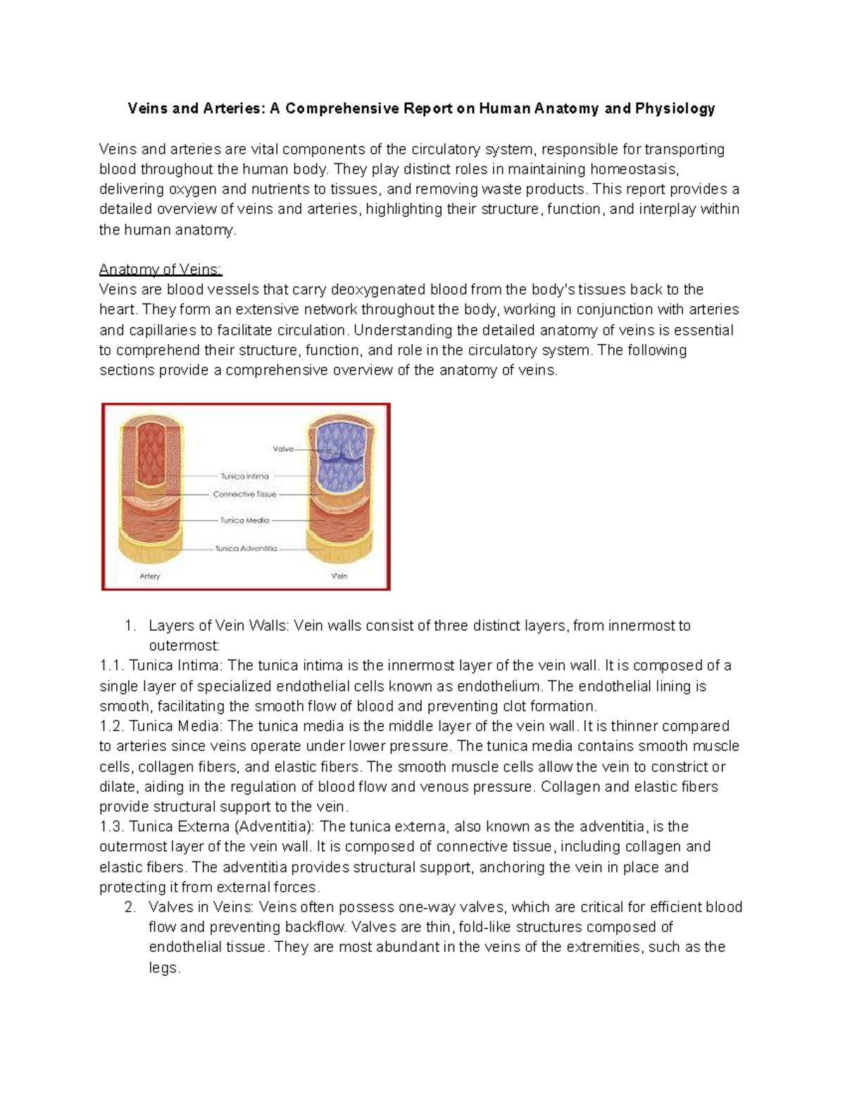 Veins and Arteries: Cycle and Review - Veins and Arteries: A ...