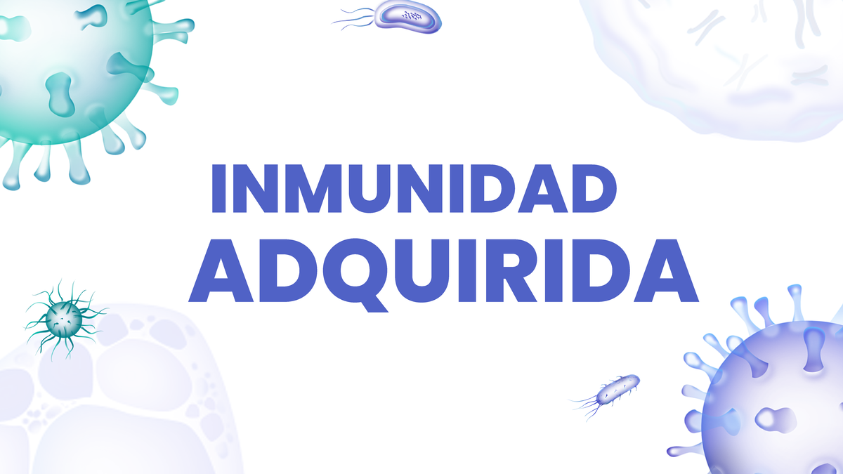 inmunidad Adquirida - INMUNIDAD ADQUIRIDA INMUNIDAD ADQUIRIDA llamada tambien Especifica ...