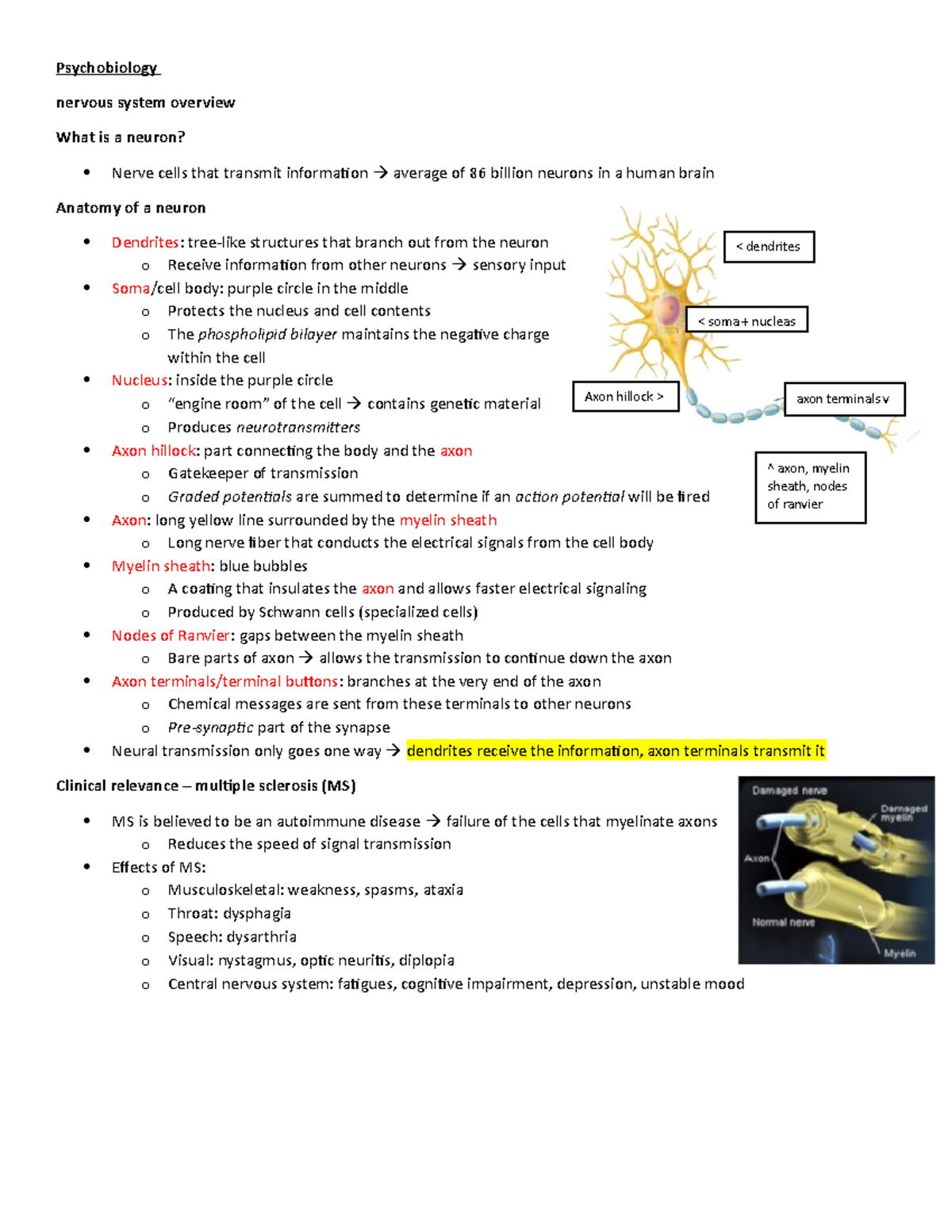 1. psychobiology - Lecture notes 1-6 - Psychobiology nervous system ...
