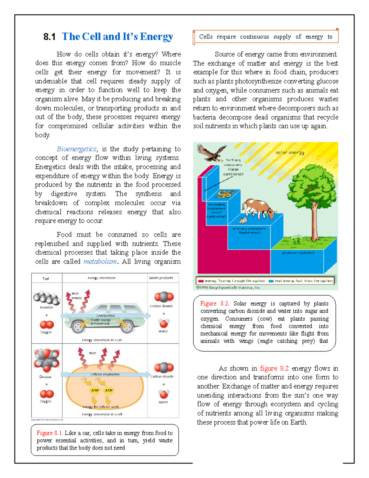 Cell Energy - Lecture notes 1 - 8 The Cell and It’s Energy Source of ...