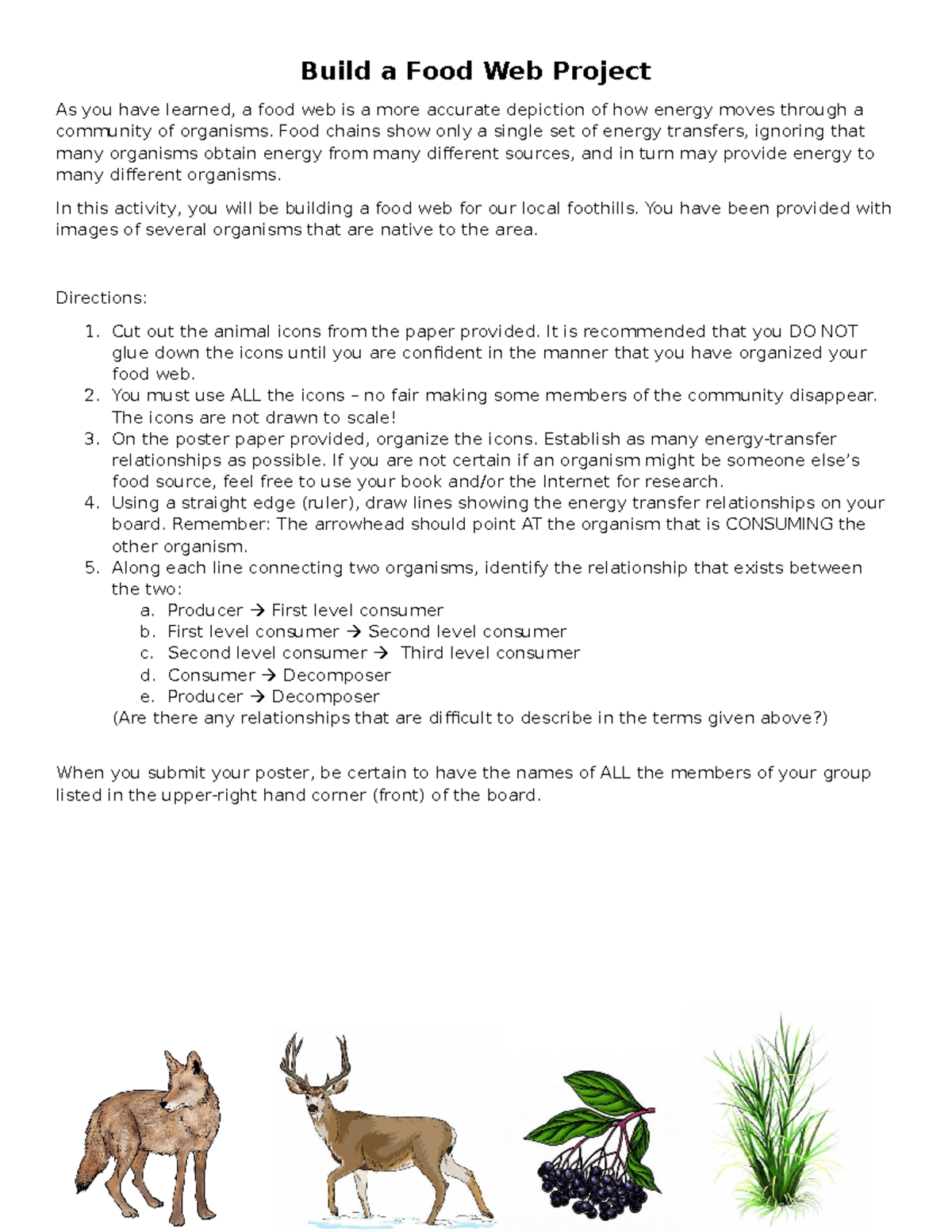 Build a Food Web Project - Food chains show only a single set of energy ...