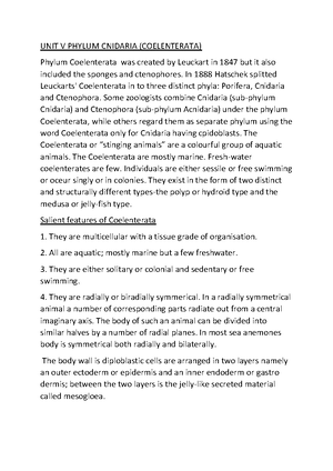 Lab-6 Porifera and Cnidaria - BIO 111 LAB – Phyla Porifera, Cnidaria ...