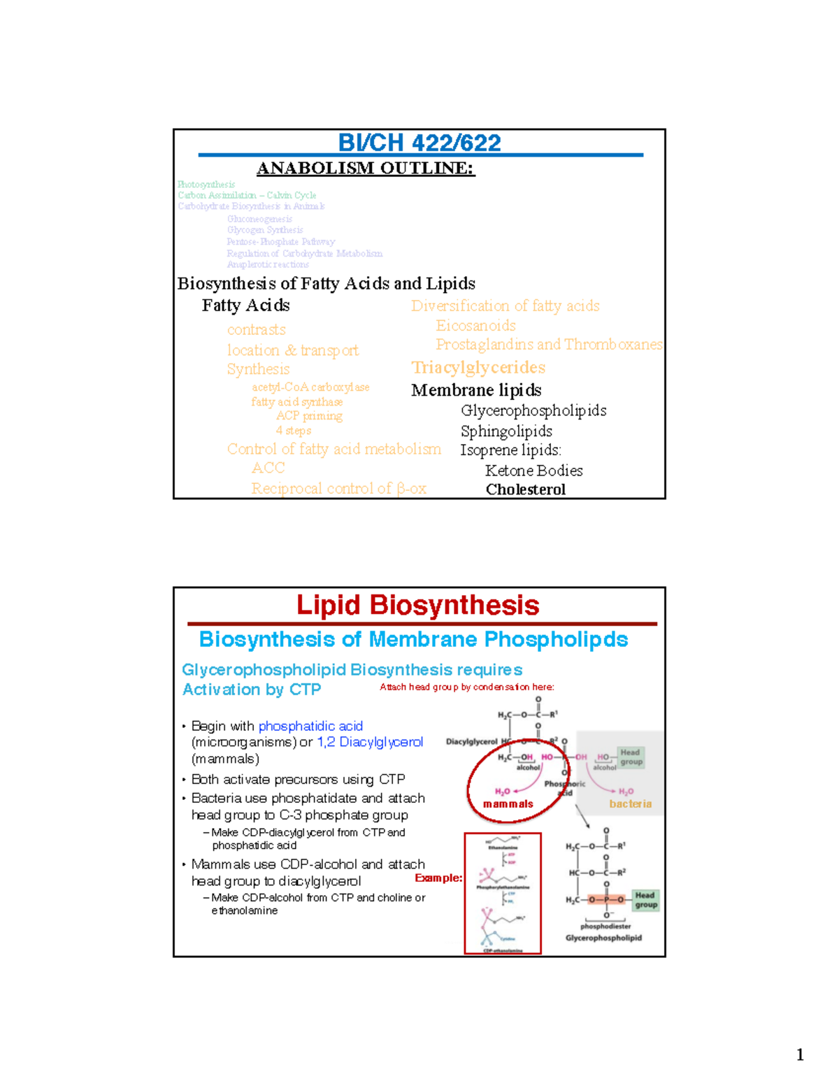 34 Lipid Synthesis 3 - BI/CH 422/ ####### ANABOLISM OUTLINE ...