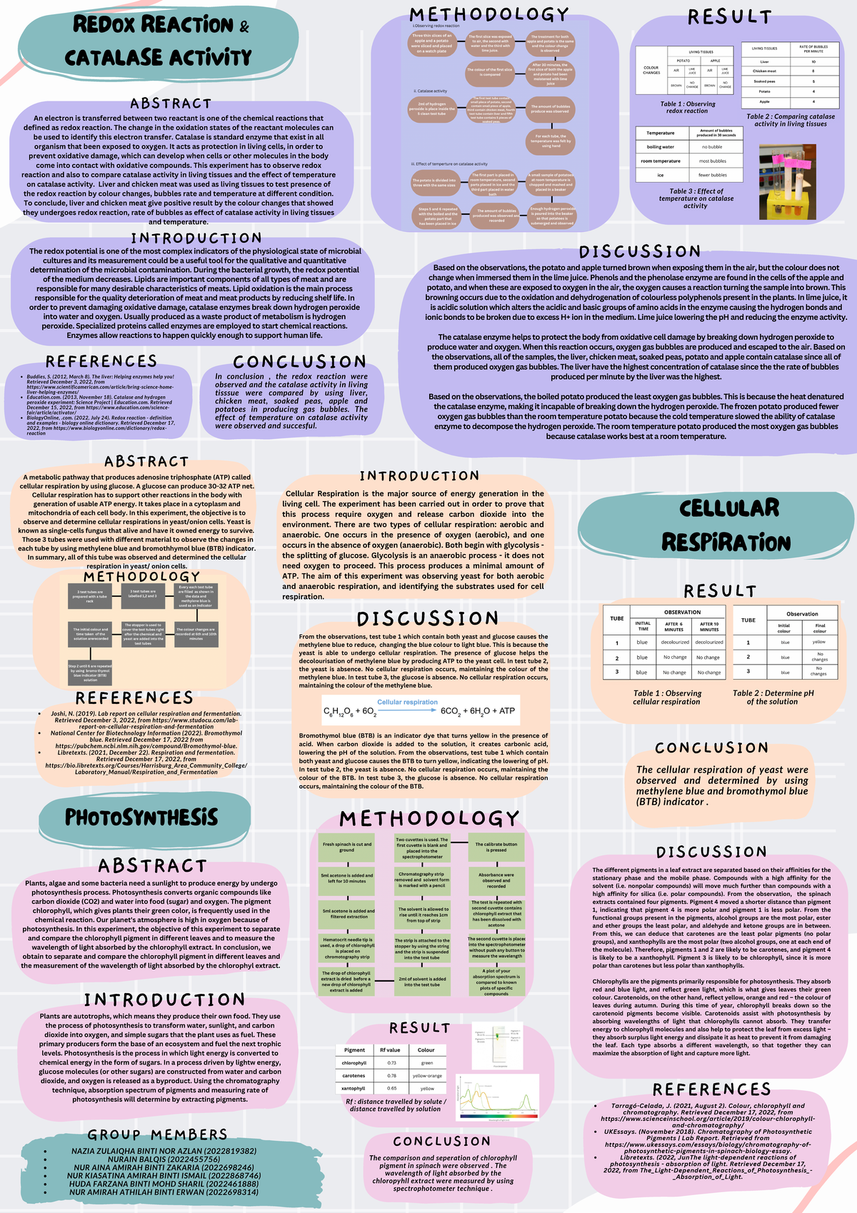 CELL Special Project - PHOTOSYNTHESIS CELLULAR RESPIRATION The ...