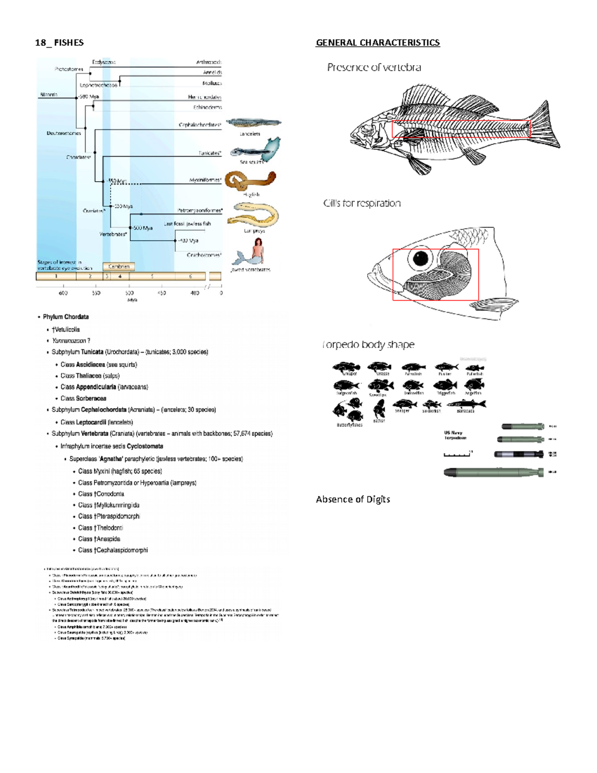 Fishes Reviewer - 18_ FISHES GENERAL CHARACTERISTICS Absence of Digits ...