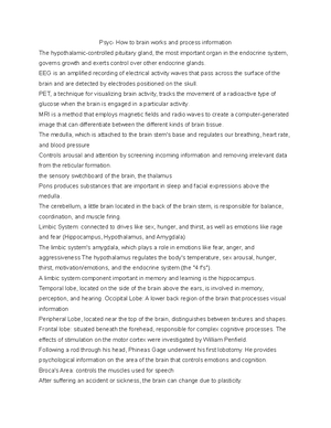 Applications and Observational Learning pt 2 - Mirror Neurons Neurons ...