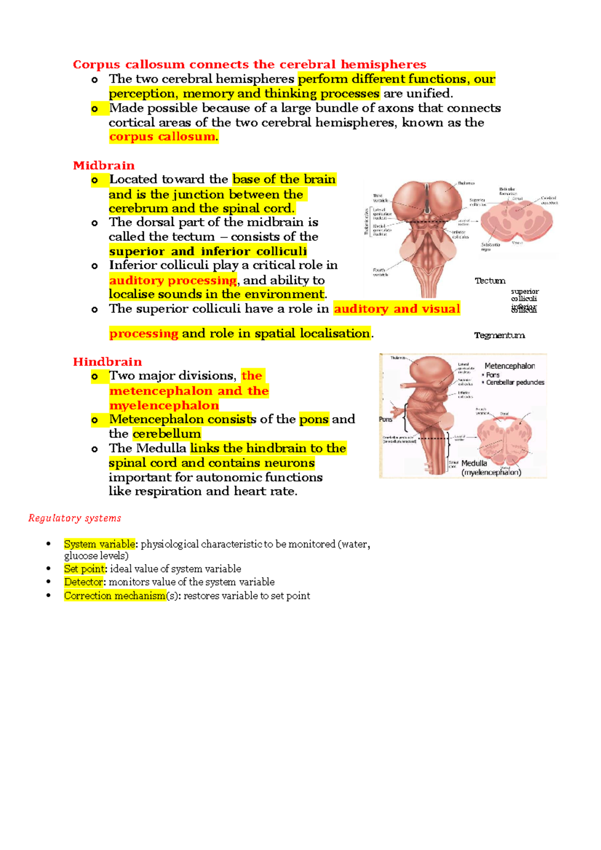 Lec 4 - Lecture notes 4 - Corpus callosum connects the cerebral ...
