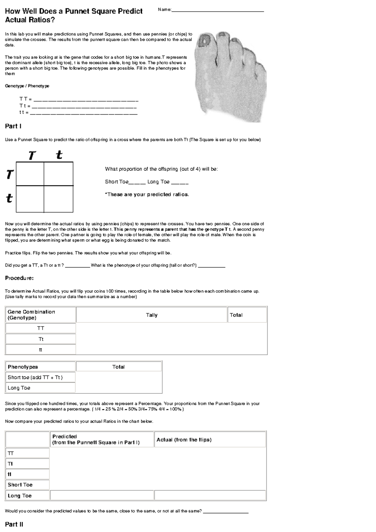 Penny genetics - How Well Does a Punnet Square Predict Actual Ratios ...