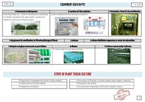 Plant biotechnology - Plant Biotechnology Dr ( Complete Lec ) 2020 ٢ ...