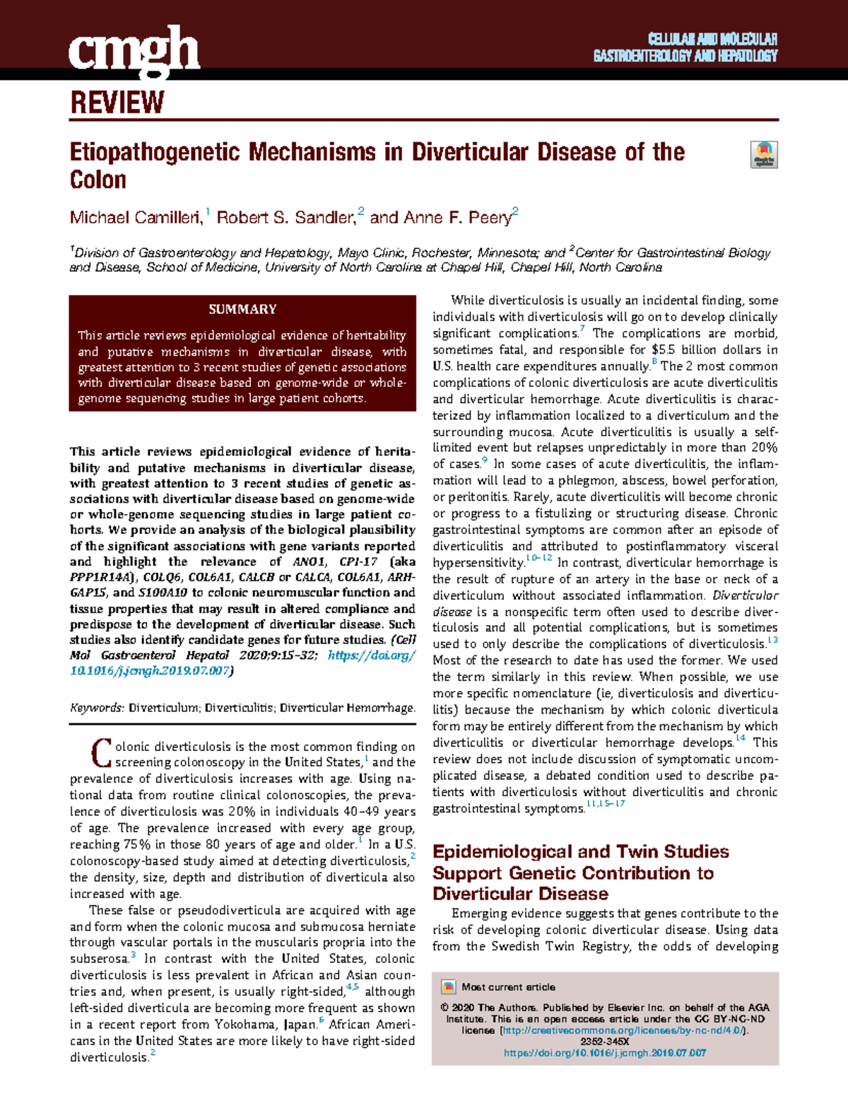 Enfermedad diverticular - REVIEW Etiopathogenetic Mechanisms in ...