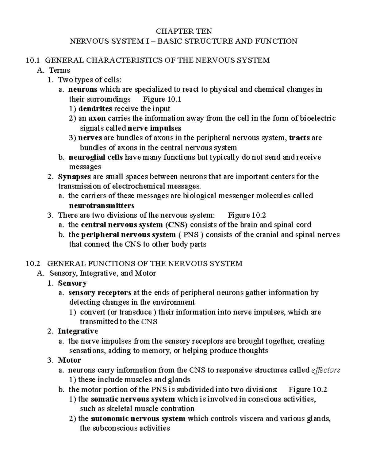 Chapter TEN sheehan lecture notes -225 - CHAPTER TEN NERVOUS SYSTEM I ...
