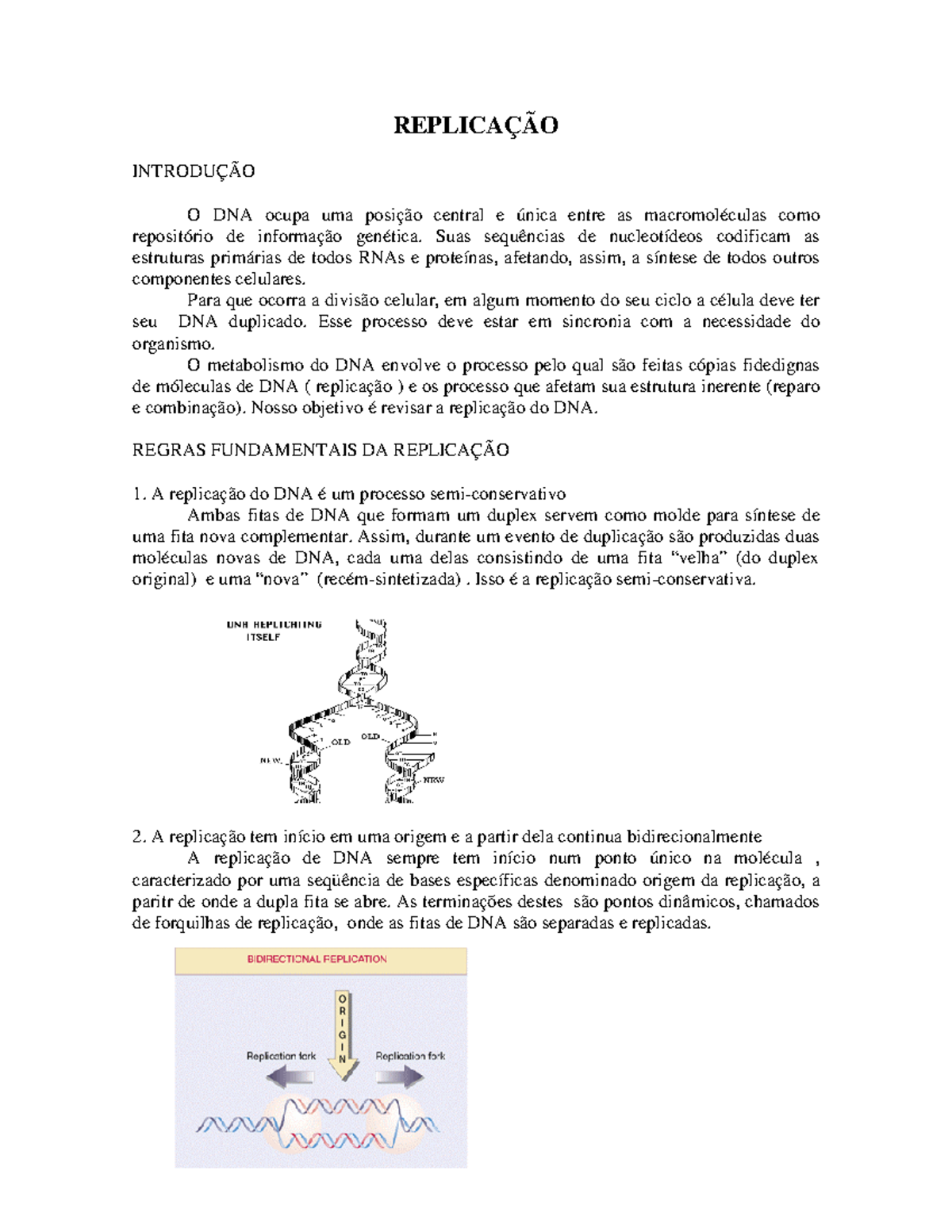 Resumo Replicação - REPLICAÇÃO INTRODUÇÃO O DNA ocupa uma posição ...