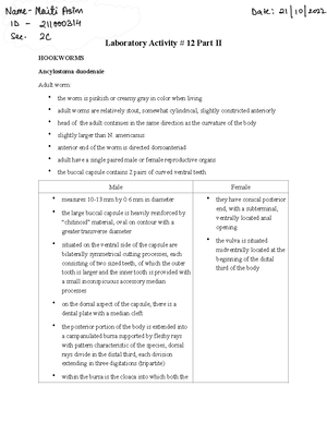 Laboratory-Activity-2 - Laboratory Activity # MICROSCOPIC EXAMINATION ...