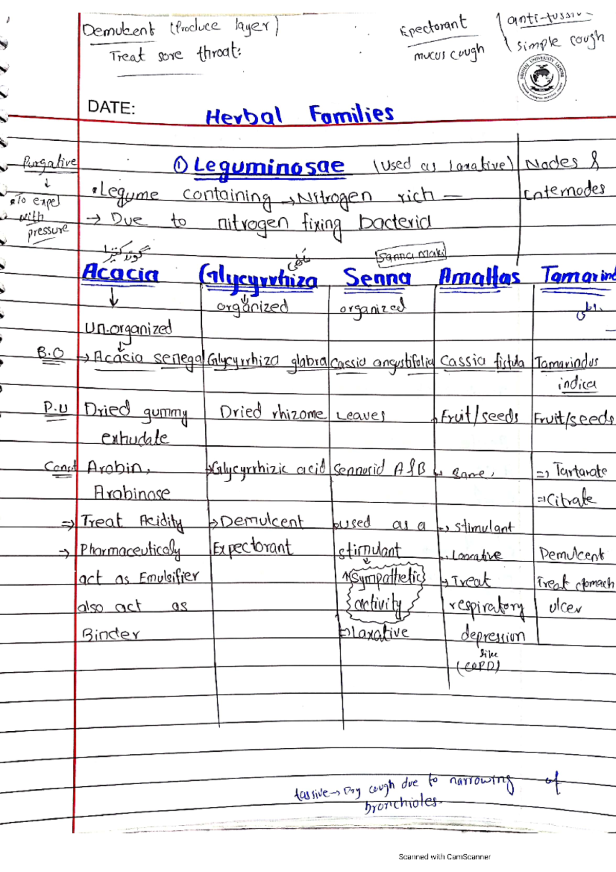 Cognosy Families - Pharmacognosy basic - Studocu