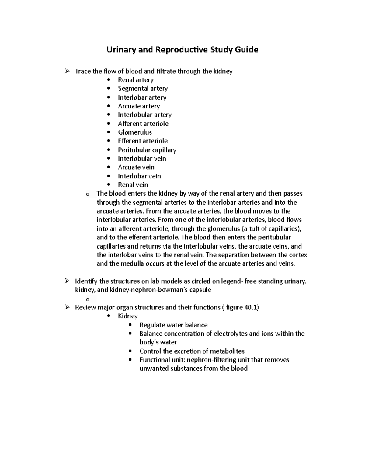 Urinary Repro Gene Study Guide-1 - Urinary and Reproductive Study Guide ...