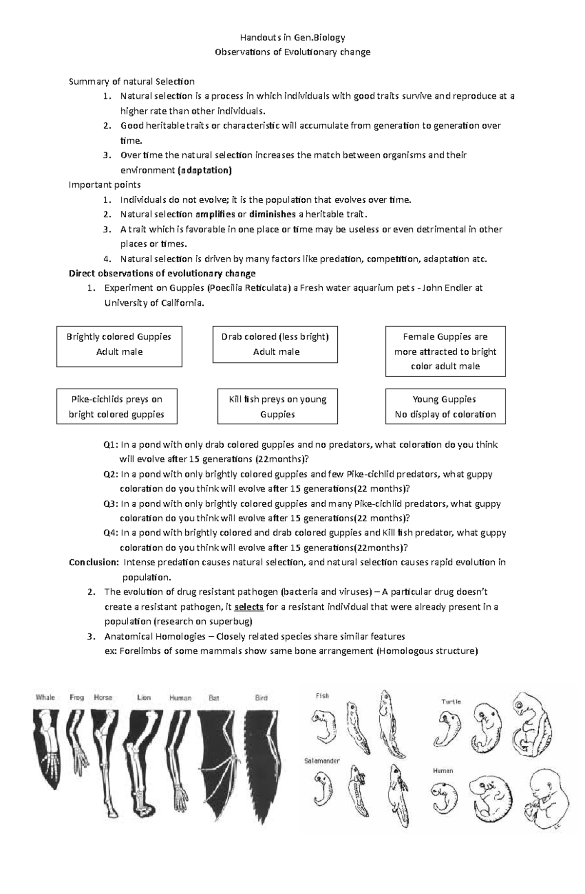 Evolution part 3 - Handouts in Gen Observations of Evolutionary change ...