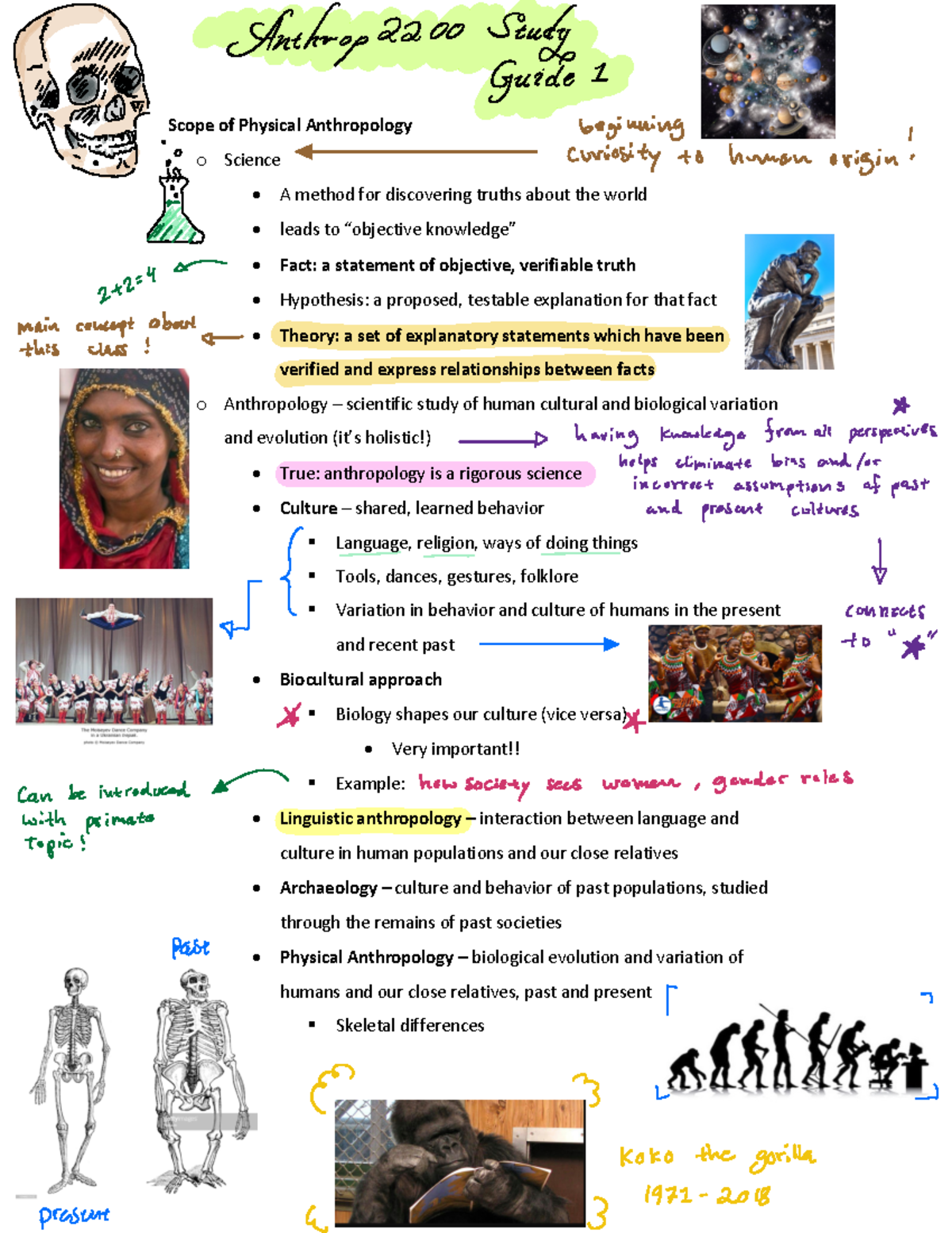 Anthropology 2200 Study Guide 1 - Scope of Physical Anthropology o ...