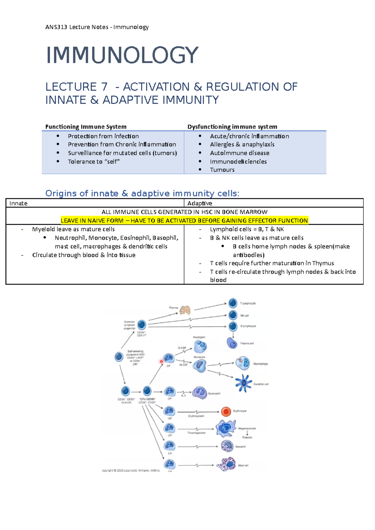 Immunology Lectrue Notes - IMMUNOLOGY LECTURE 7 - ACTIVATION ...