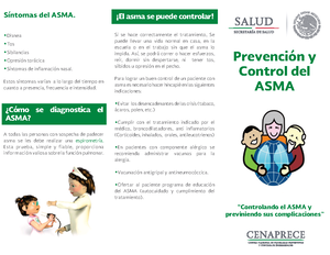 ¿CÓMO Realizar UN Profiláctico - ¿Qué es un profiláctico dental ...