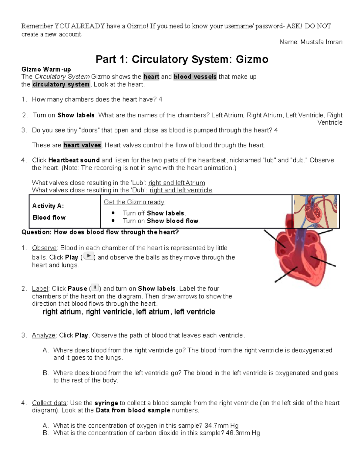 Heart Gizmo BPAct 2021 - Remember YOU ALREADY have a Gizmo! If you need ...