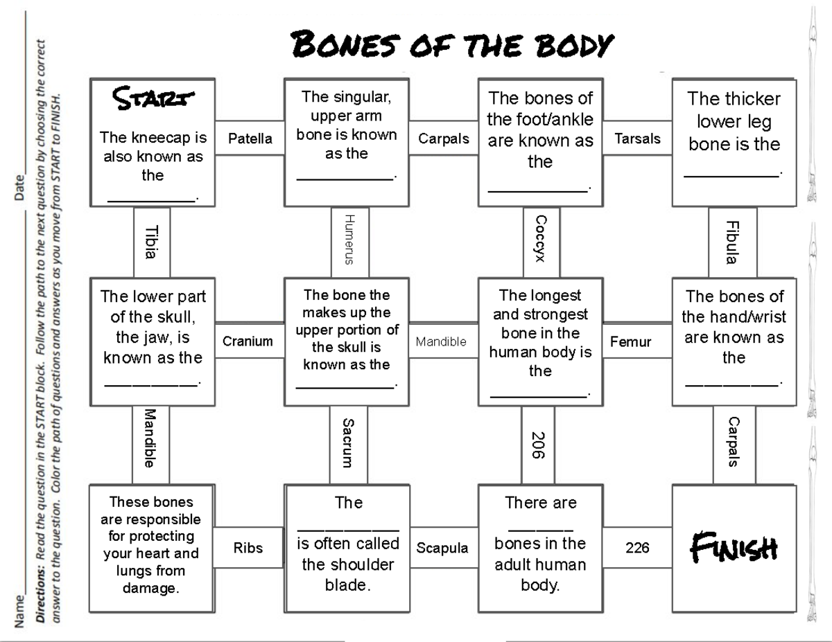 Bones Maze - Tibia Humerus Coccyx Fibula Carpals 206 Sacrum Mandible ...