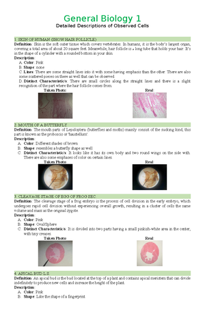 Sample of Abstract - Abstract Visual impairment is a global health ...