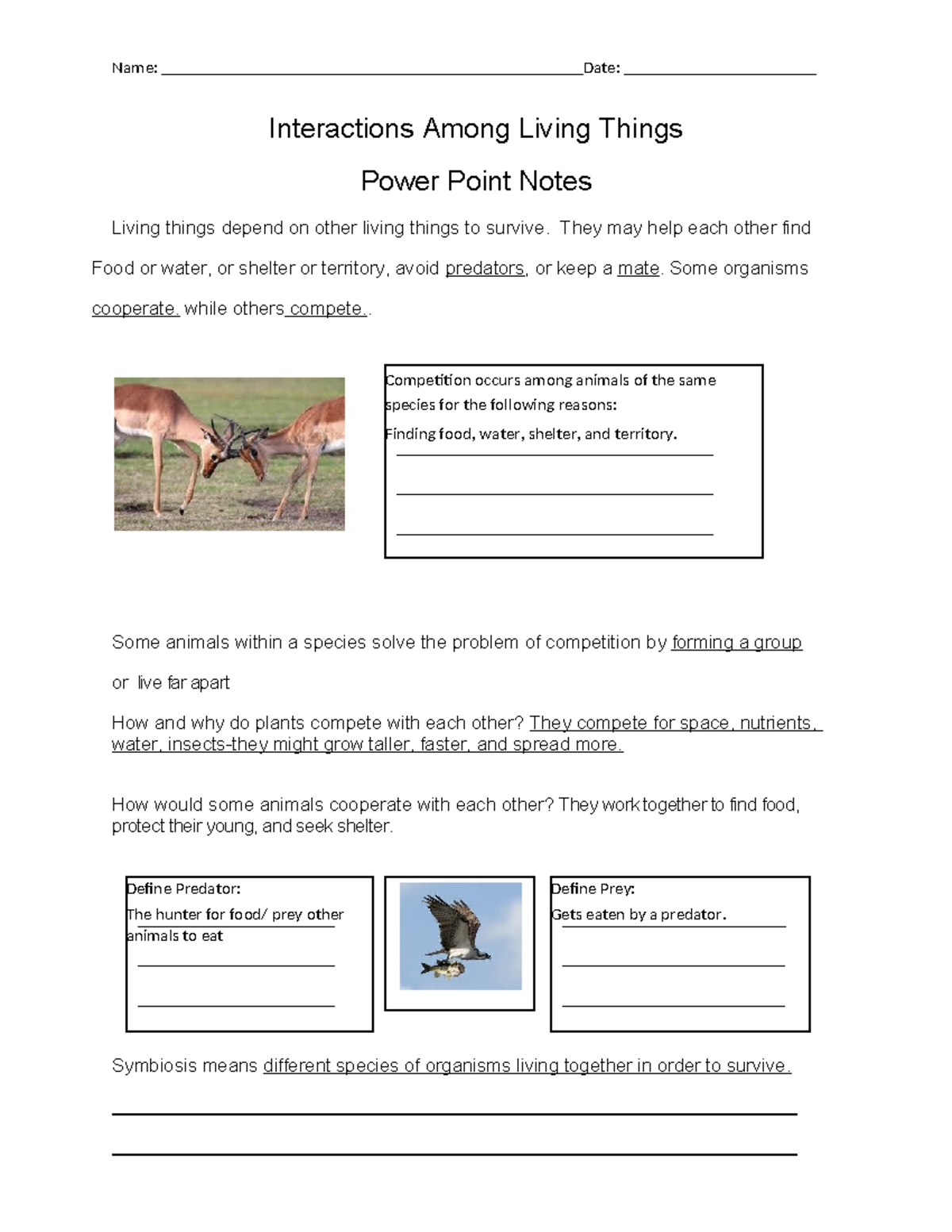 Interactions Among Living Things Note page ppt - Competition occurs ...