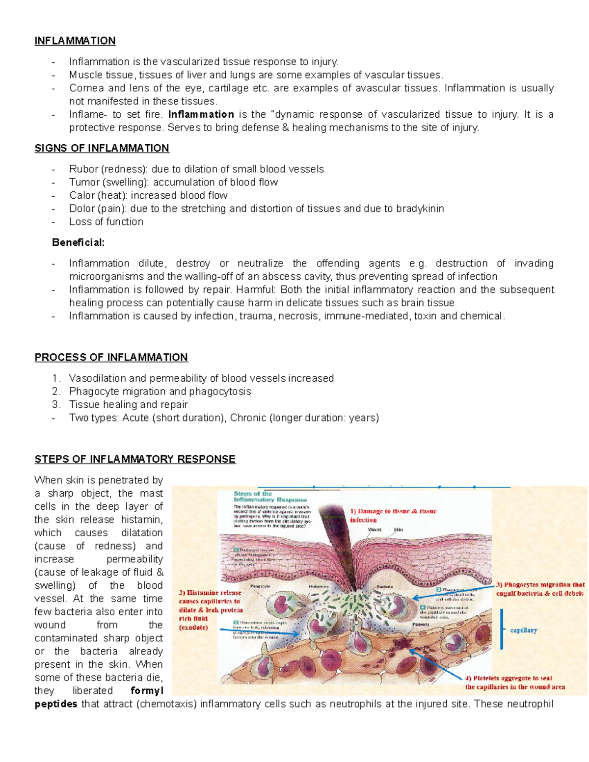 BB2711 Inflammation immunology and pathology - INFLAMMATION ...