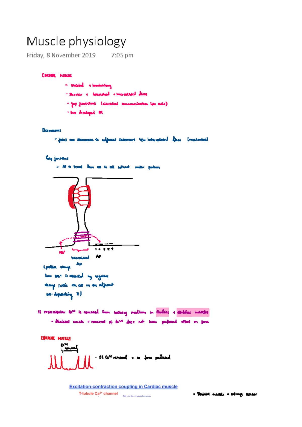 Physiology of the muscle lecture notes - PHYL2001 - Muscle physiology ...
