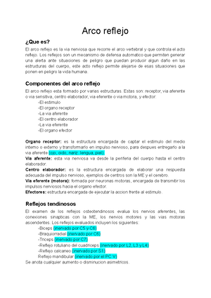 CAP 79 Fisio - Resumen cap 79 insulinas guyton - Tema: Resumen/investigación capítulo 79 ...