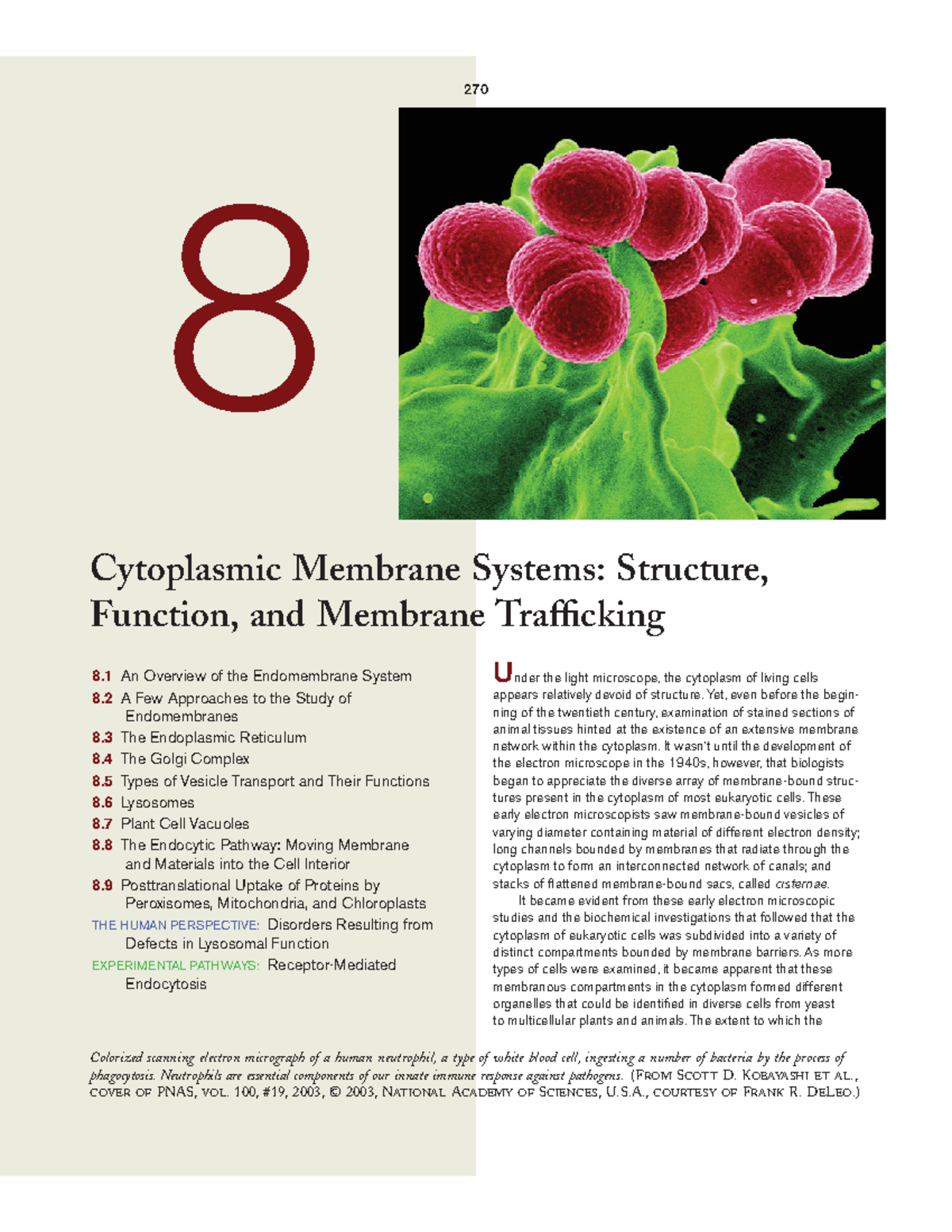 Karp-270-318 - Under the light microscope, the cytoplasm of living ...