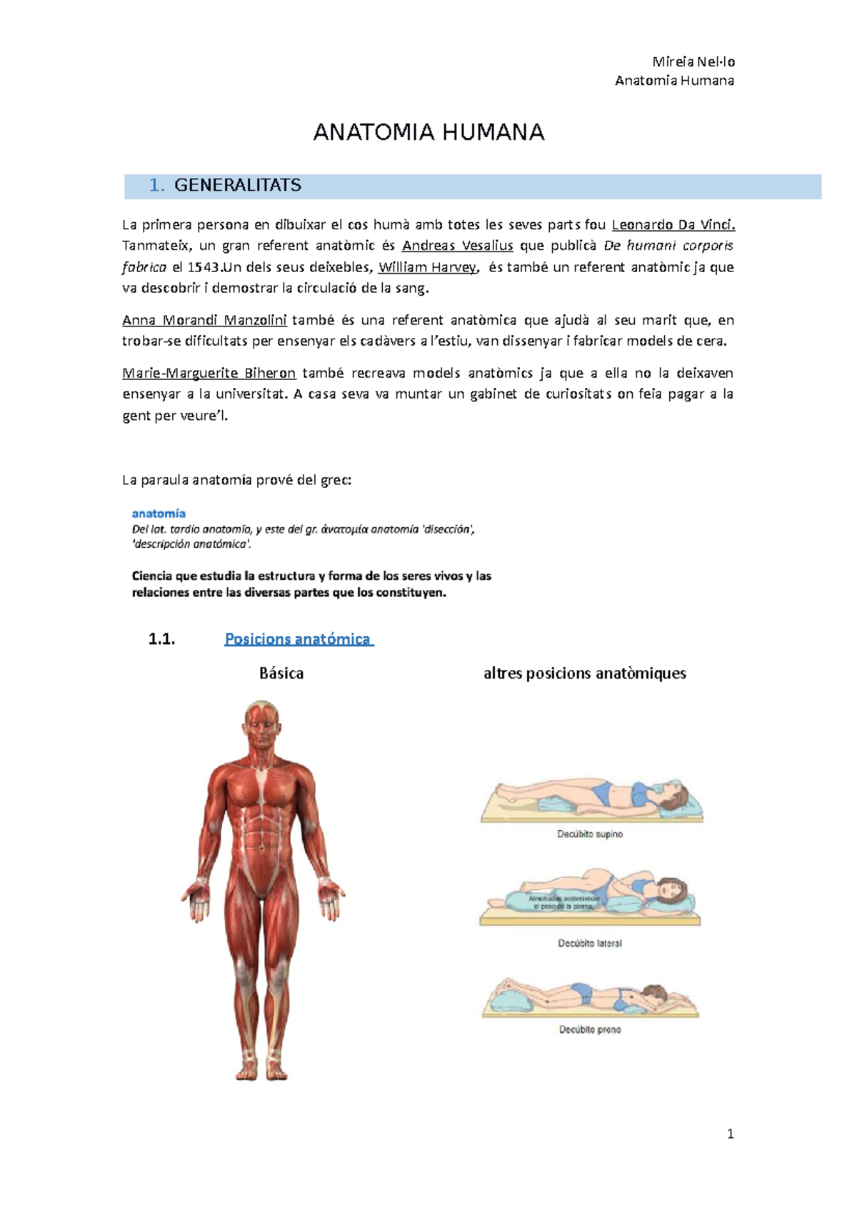 1. Generalitats - anatomia de 1r infermeria campus clinic - Anatomia ...