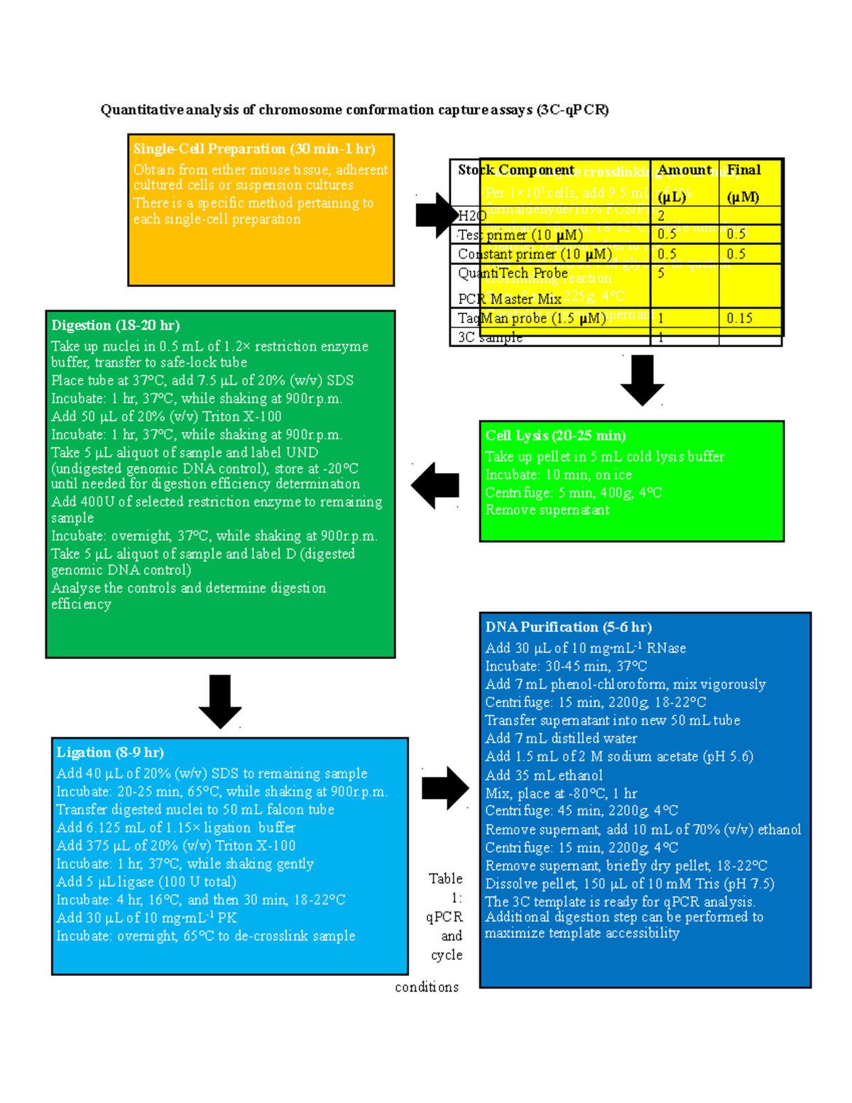 Flow diagram 3C - Quantitative analysis of chromosome conformation ...