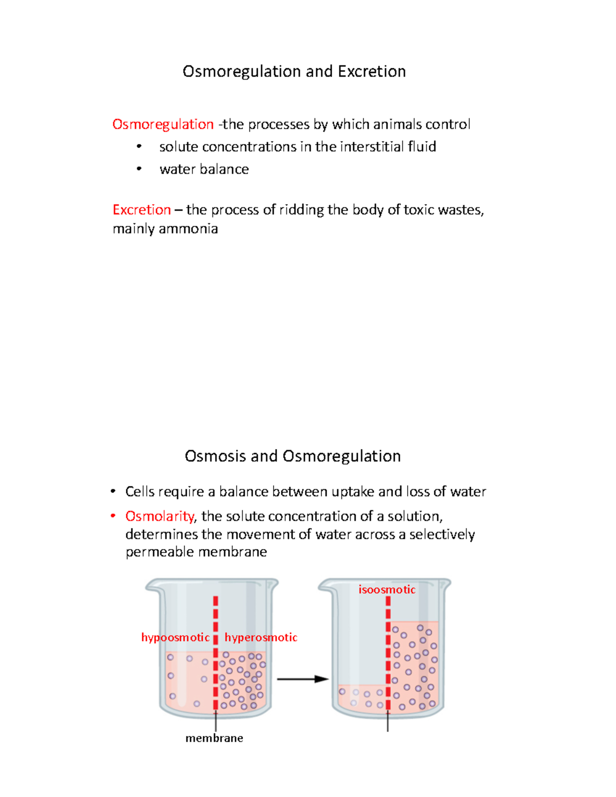 32 - osmo exc - Professor Micheal Jorgensen - Osmoregulation and ...