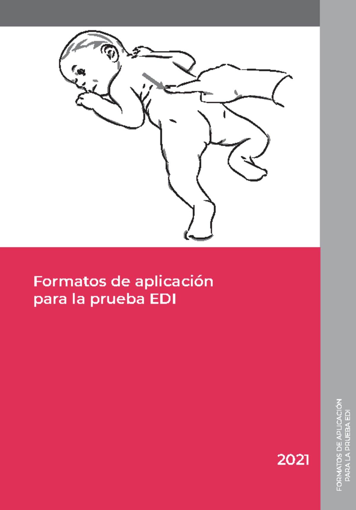 EDI - Pautas y extras - FORMATOS DE APLICACIÓN PARA LA PRUEBA EDI ...